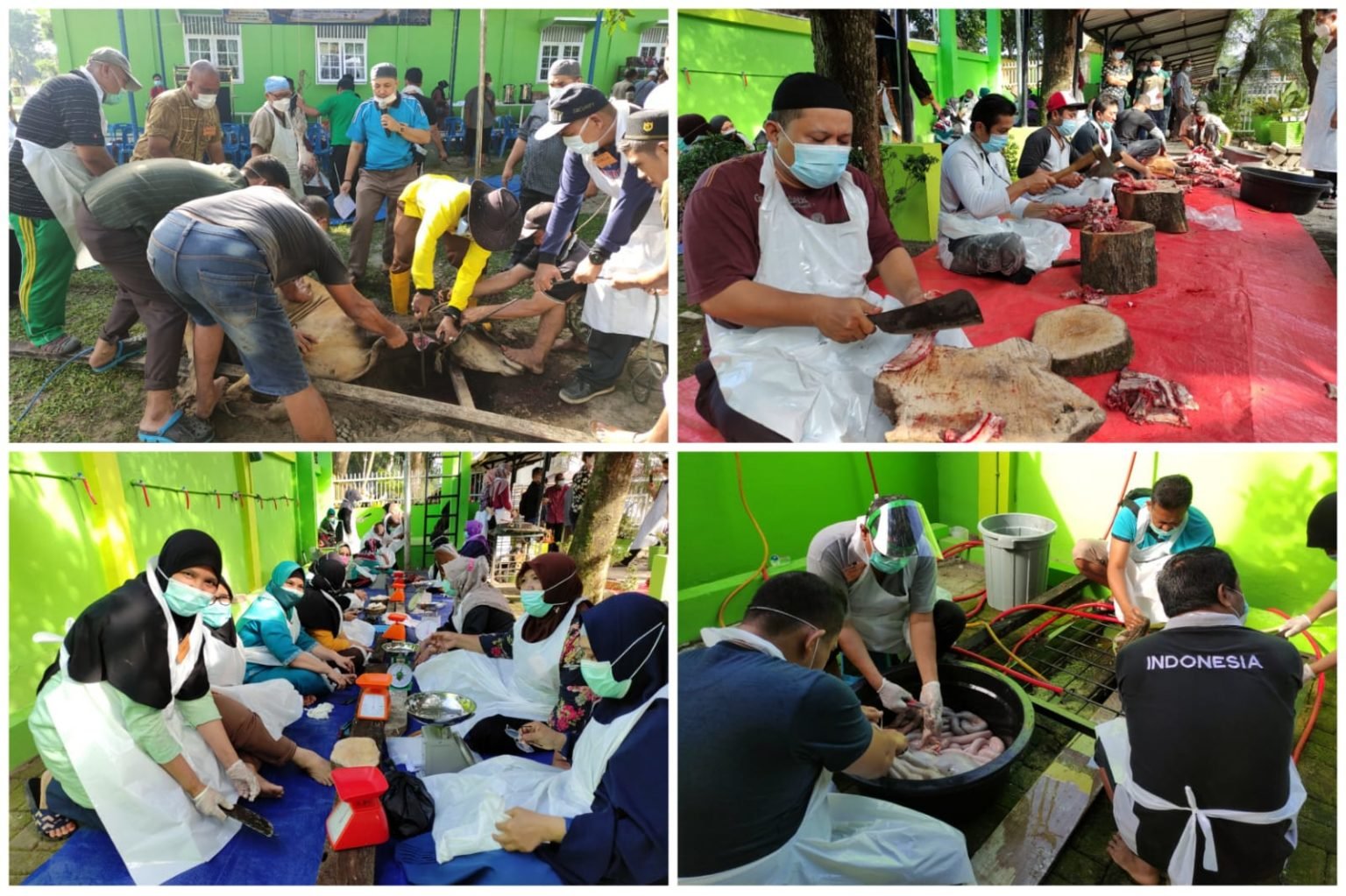RSUP HAM Rayakan Idul Adha dengan Potong 12 Sapi dan 19 Kambing - RS ...